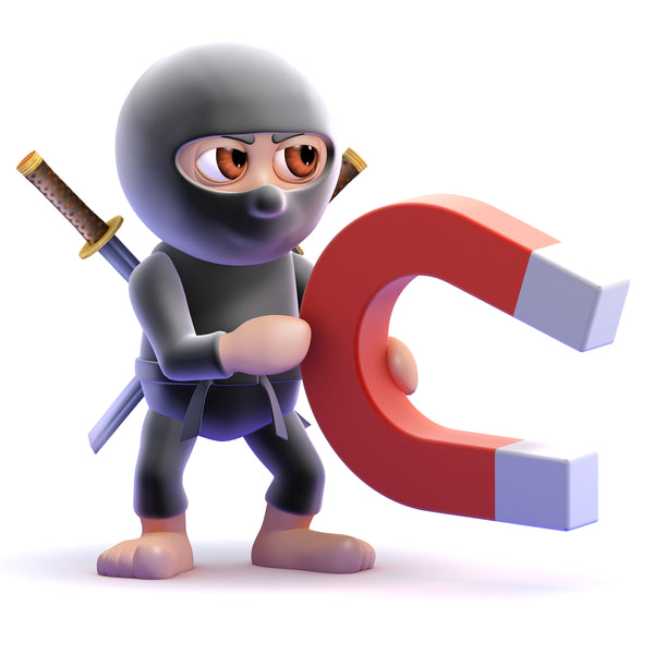 How do you introduce magnets to kindergarten? – Simple Signman